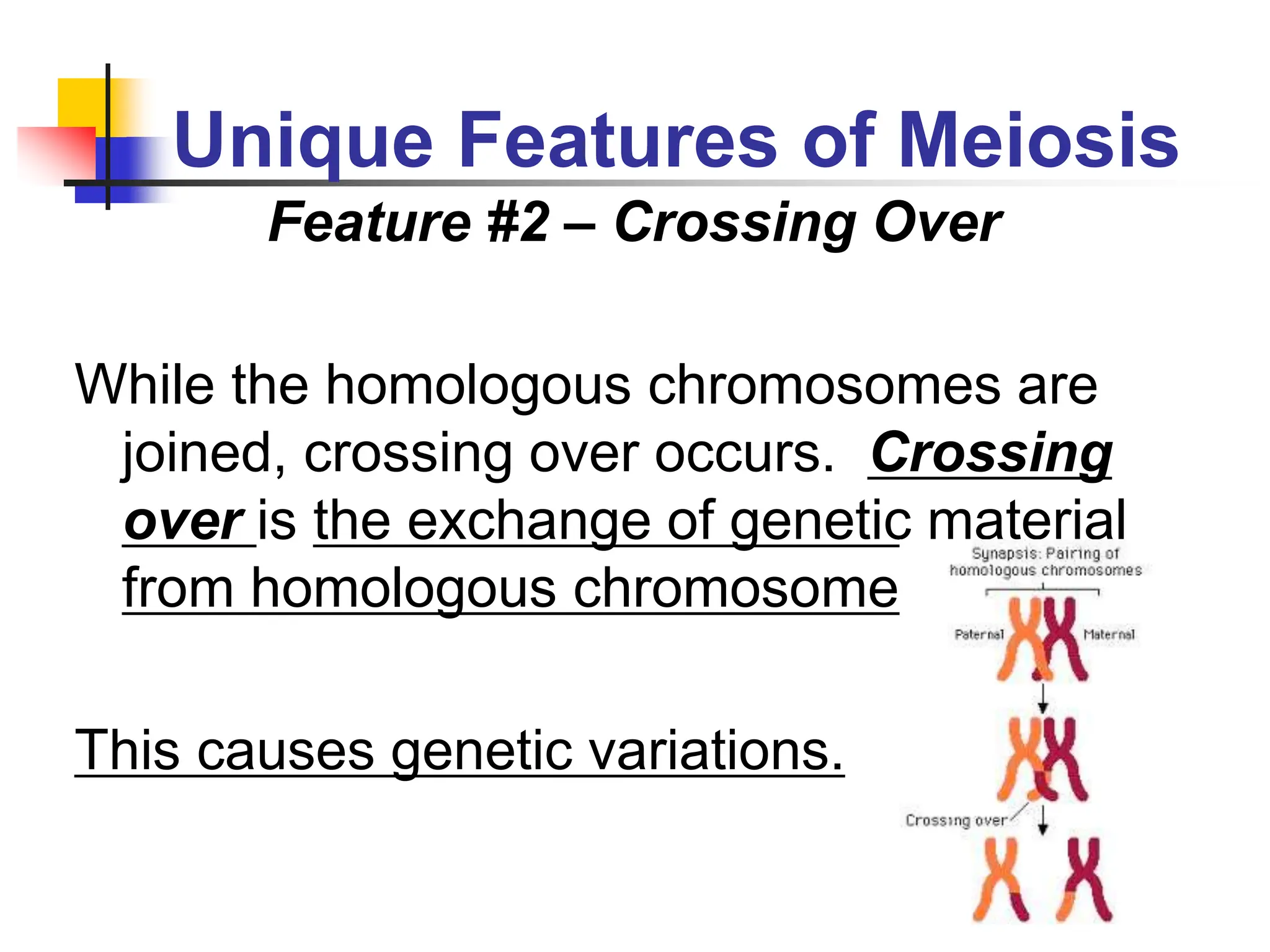 G8 Science Q4- Week 2 Cell-Division-Mitosis-Meiosis-Ppt.pptx