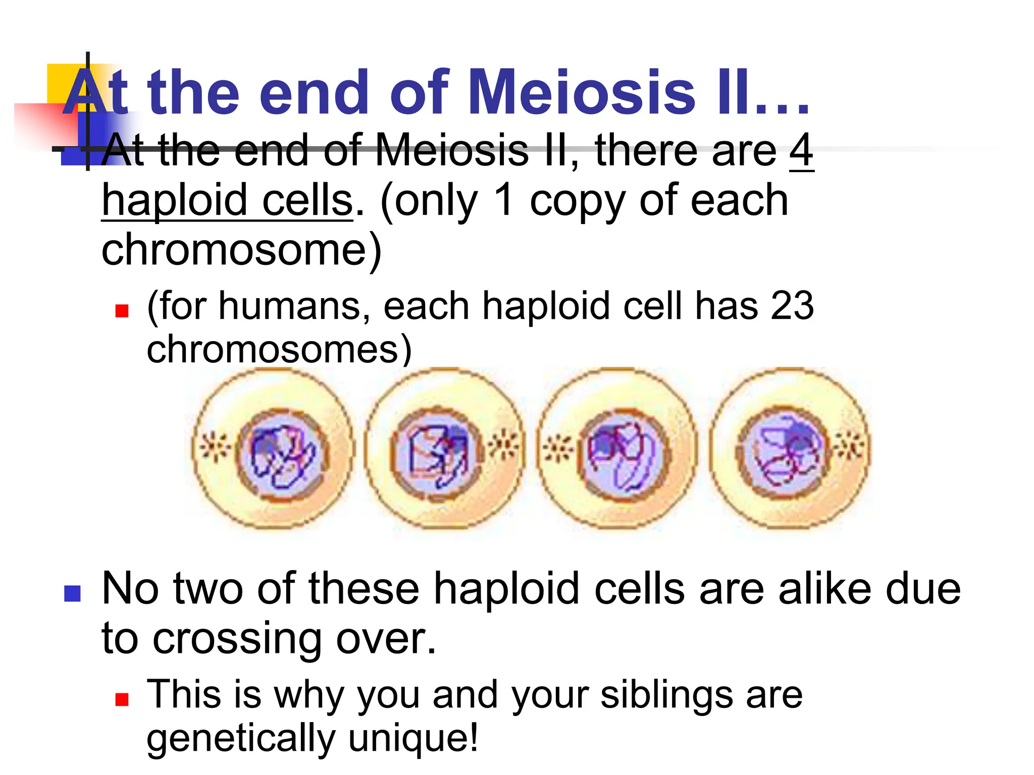G8 Science Q4- Week 2 Cell-Division-Mitosis-Meiosis-Ppt.pptx