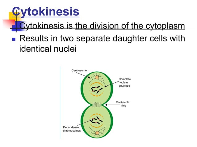 G8 Science Q4- Week 2 Cell-Division-Mitosis-Meiosis-Ppt.pptx