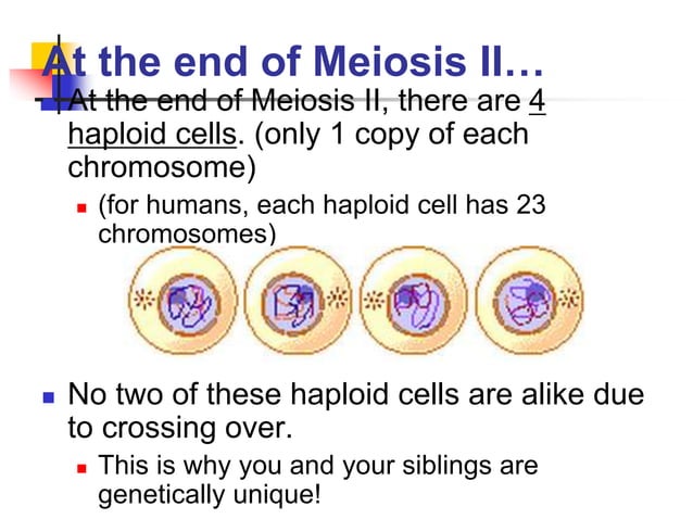 G8 Science Q4- Week 2 Cell-Division-Mitosis-Meiosis-Ppt.pptx