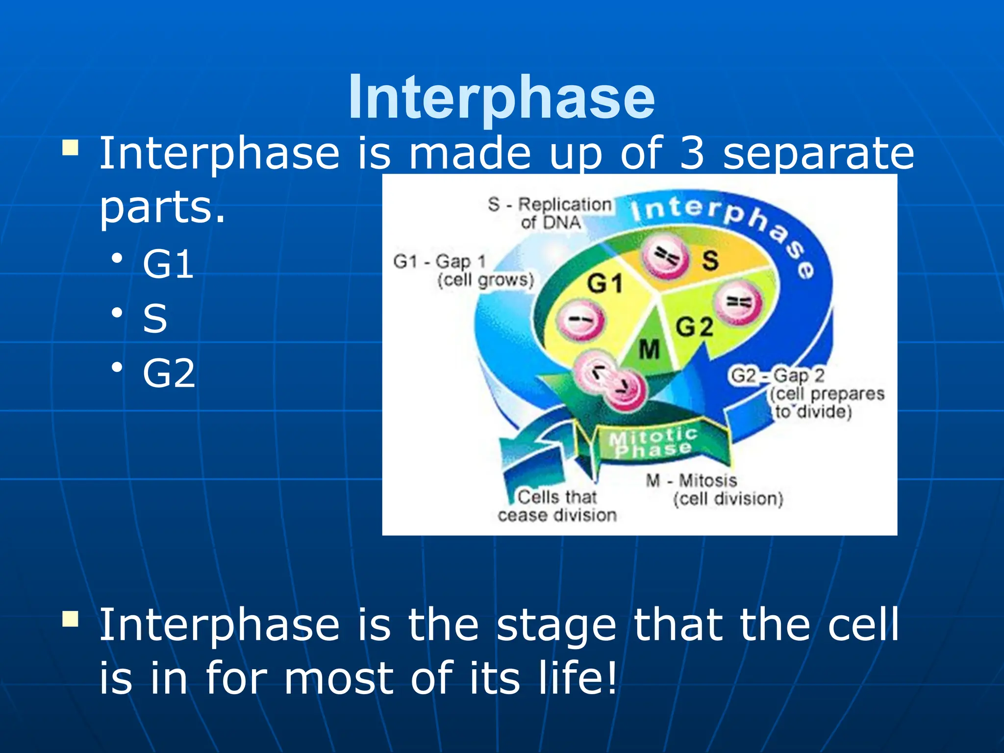 G8 Science Q4- Week 2 Cell-Division-Mitosis-Meiosis-Ppt.pptx