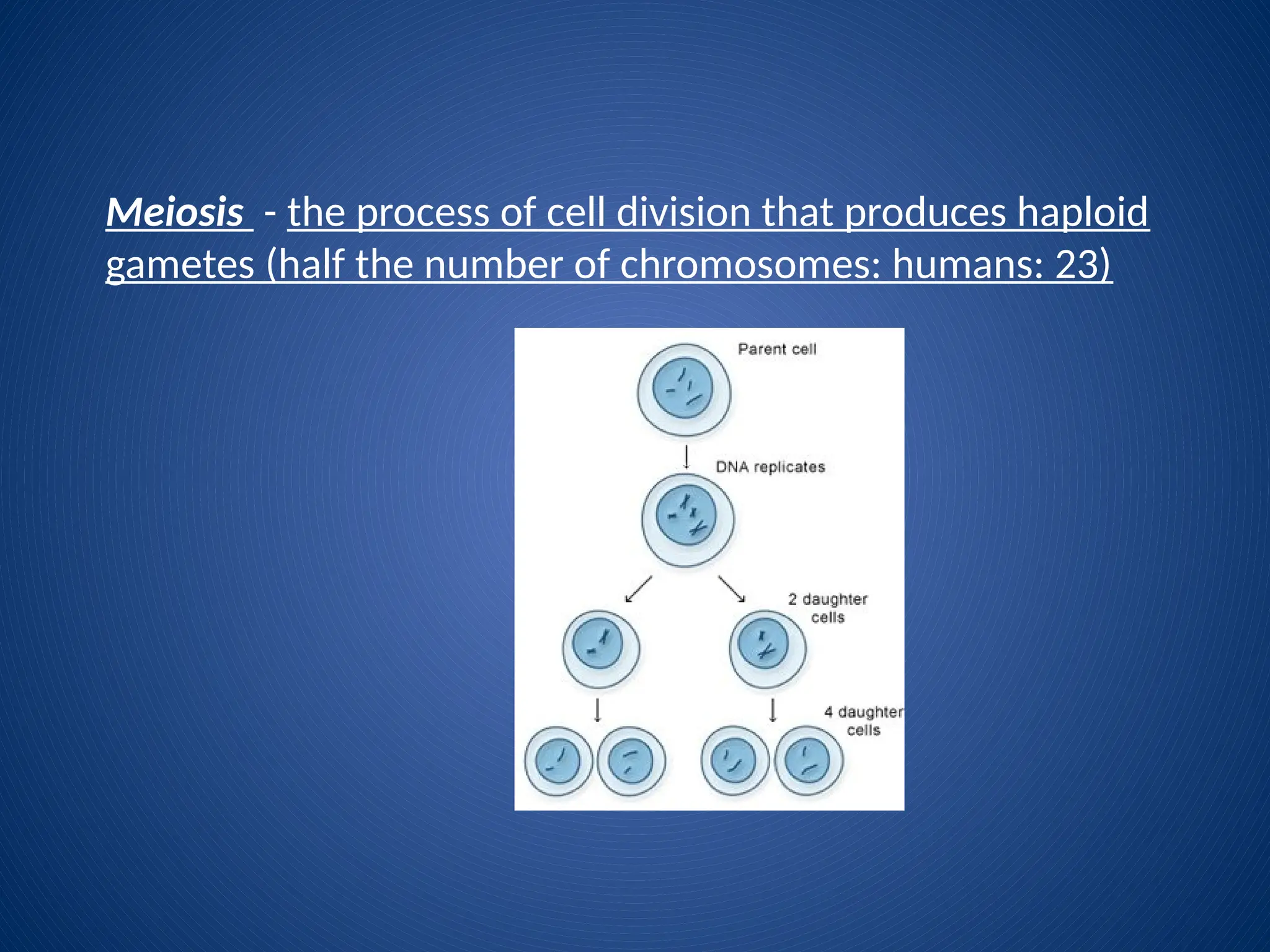G8 Science Q4- Week 2 Cell-Division-Mitosis-Meiosis-Ppt.pptx