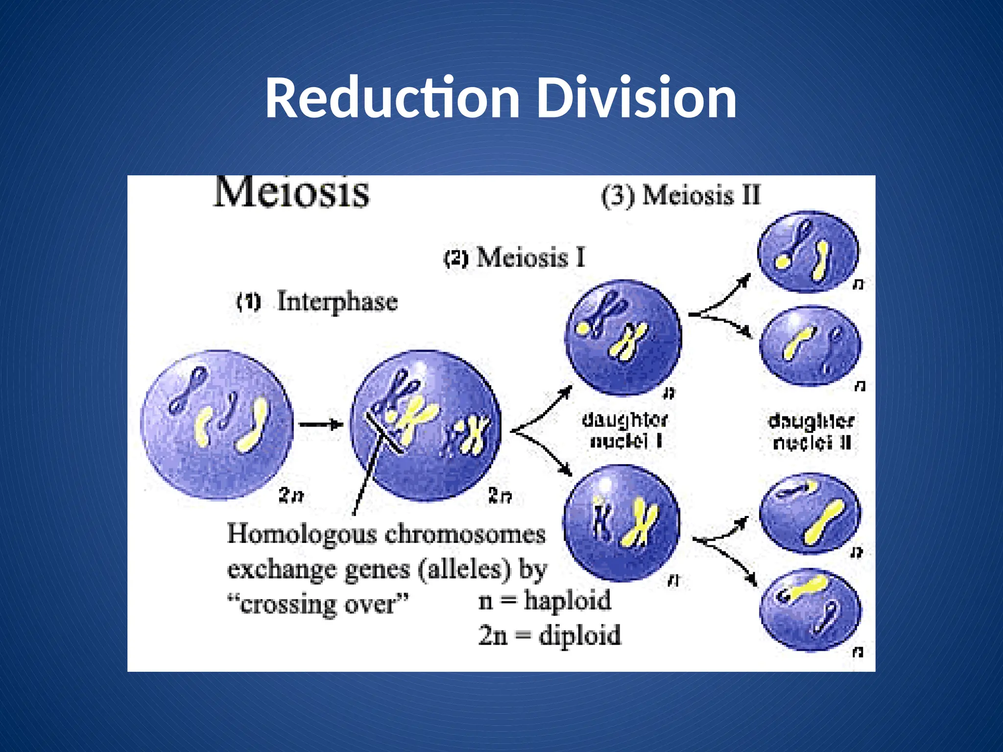 G8 Science Q4- Week 2 Cell-Division-Mitosis-Meiosis-Ppt.pptx