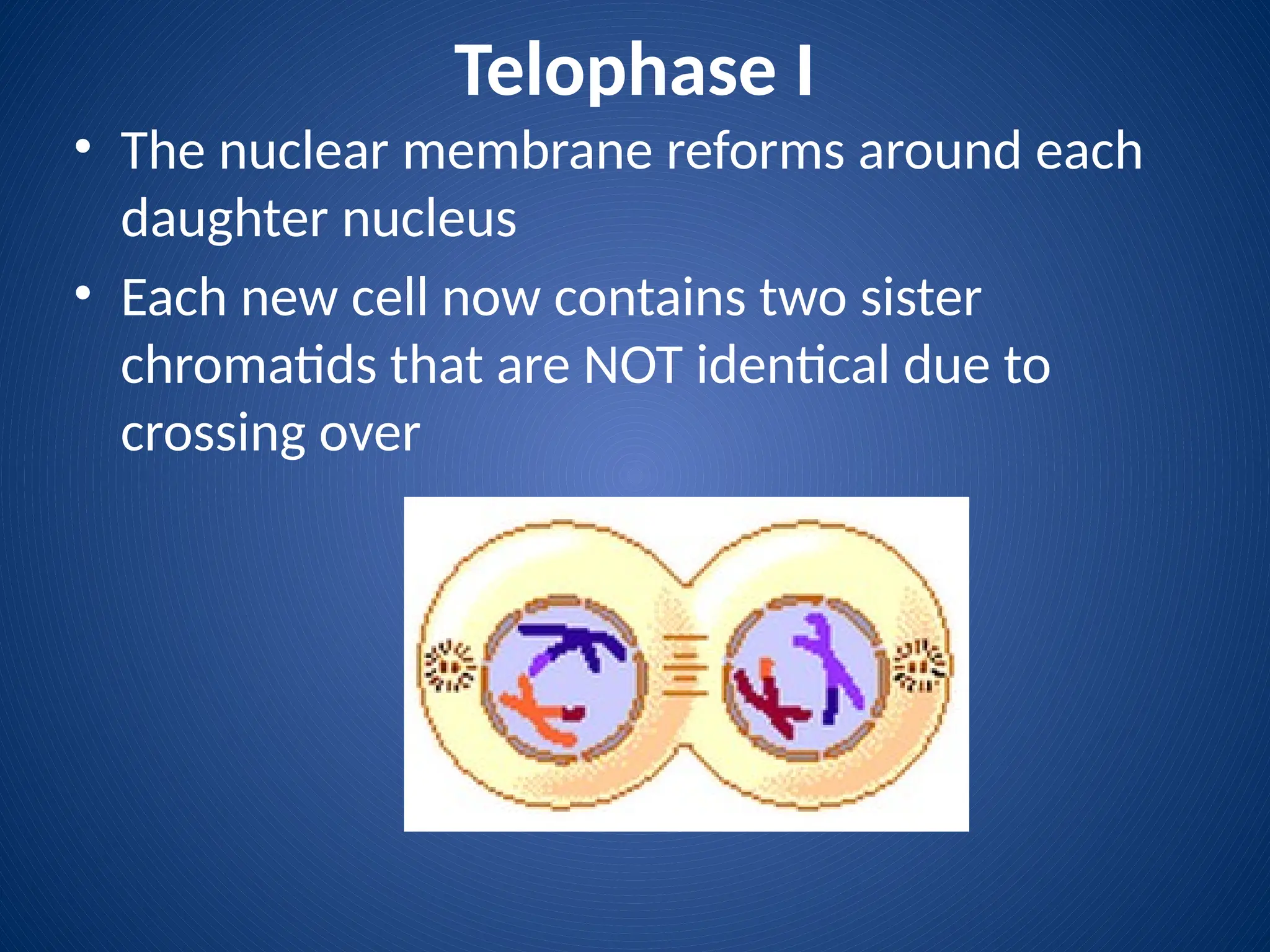 G8 Science Q4- Week 2 Cell-Division-Mitosis-Meiosis-Ppt.pptx