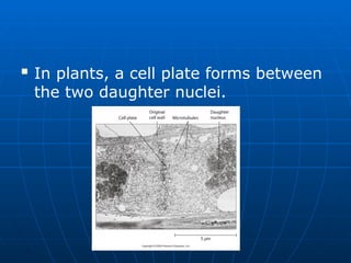 G8 Science Q4- Week 2 Cell-Division-Mitosis-Meiosis-Ppt.pptx