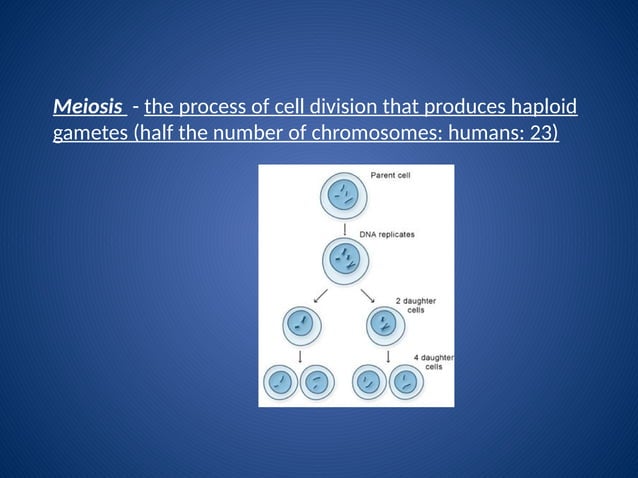 G8 Science Q4- Week 2 Cell-Division-Mitosis-Meiosis-Ppt.pptx