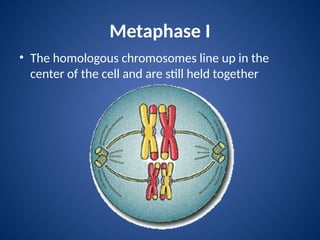 G8 Science Q4- Week 2 Cell-Division-Mitosis-Meiosis-Ppt.pptx