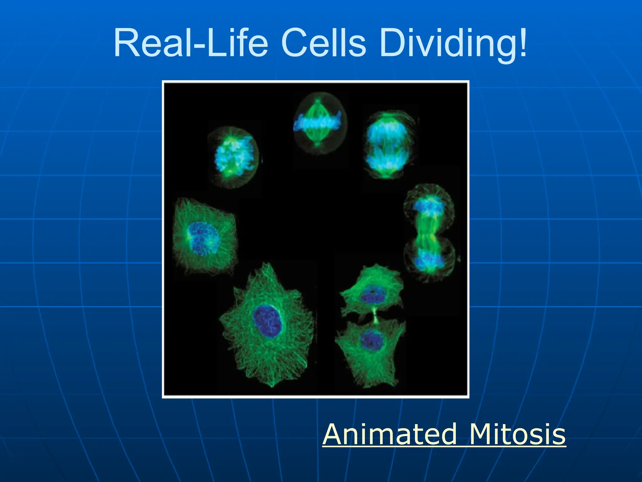 G8 Science Q4- Week 2 Cell-Division-Mitosis-Meiosis-Ppt.pptx