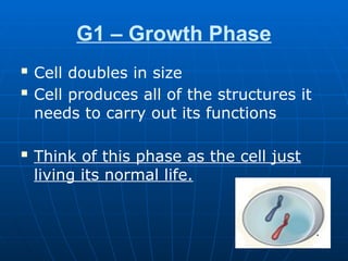 G8 Science Q4- Week 2 Cell-Division-Mitosis-Meiosis-Ppt.pptx