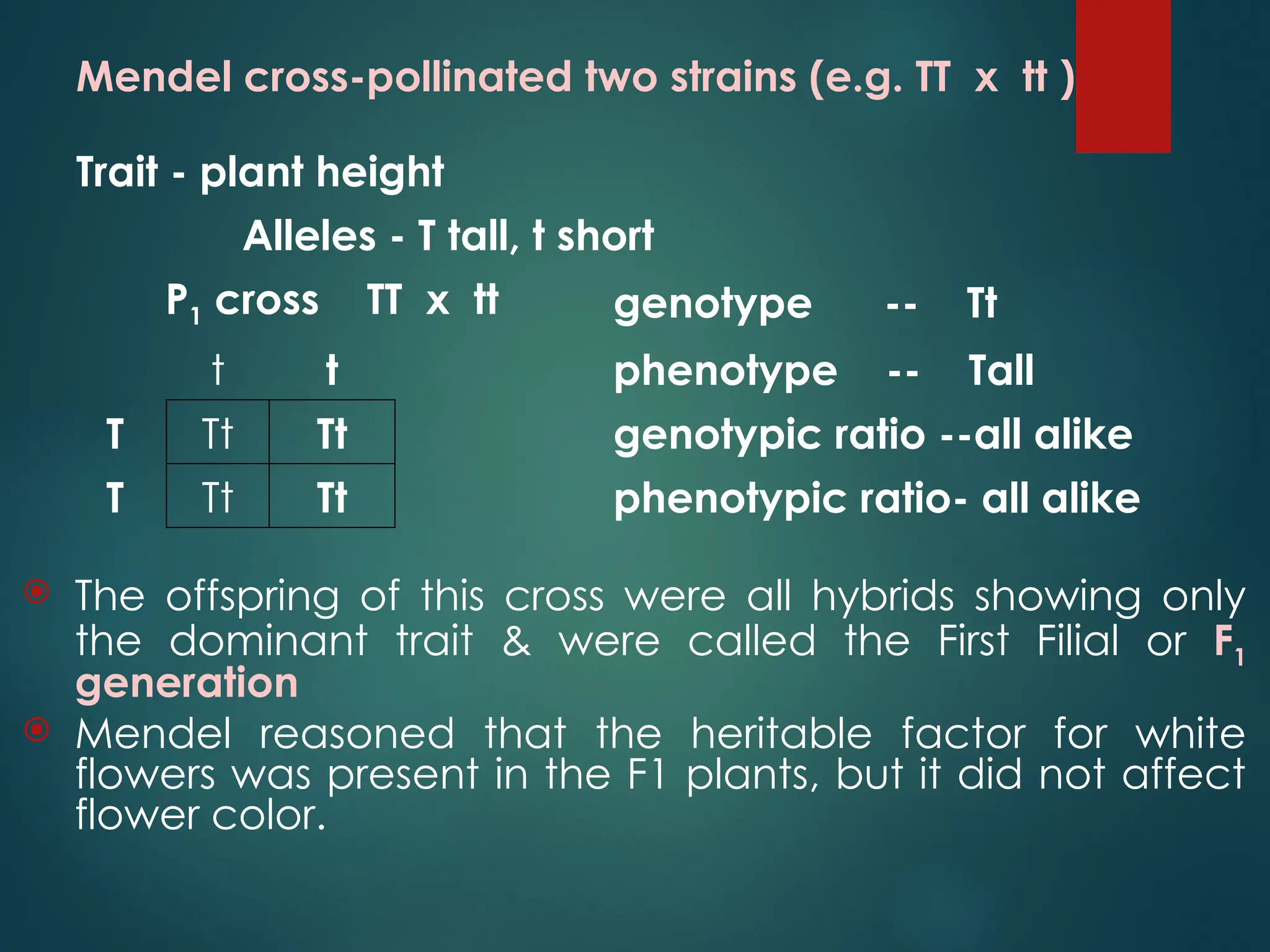 G8 Science Q4- Week 3-Patterns-of-Inheritance.ppt | Genetics | Science
