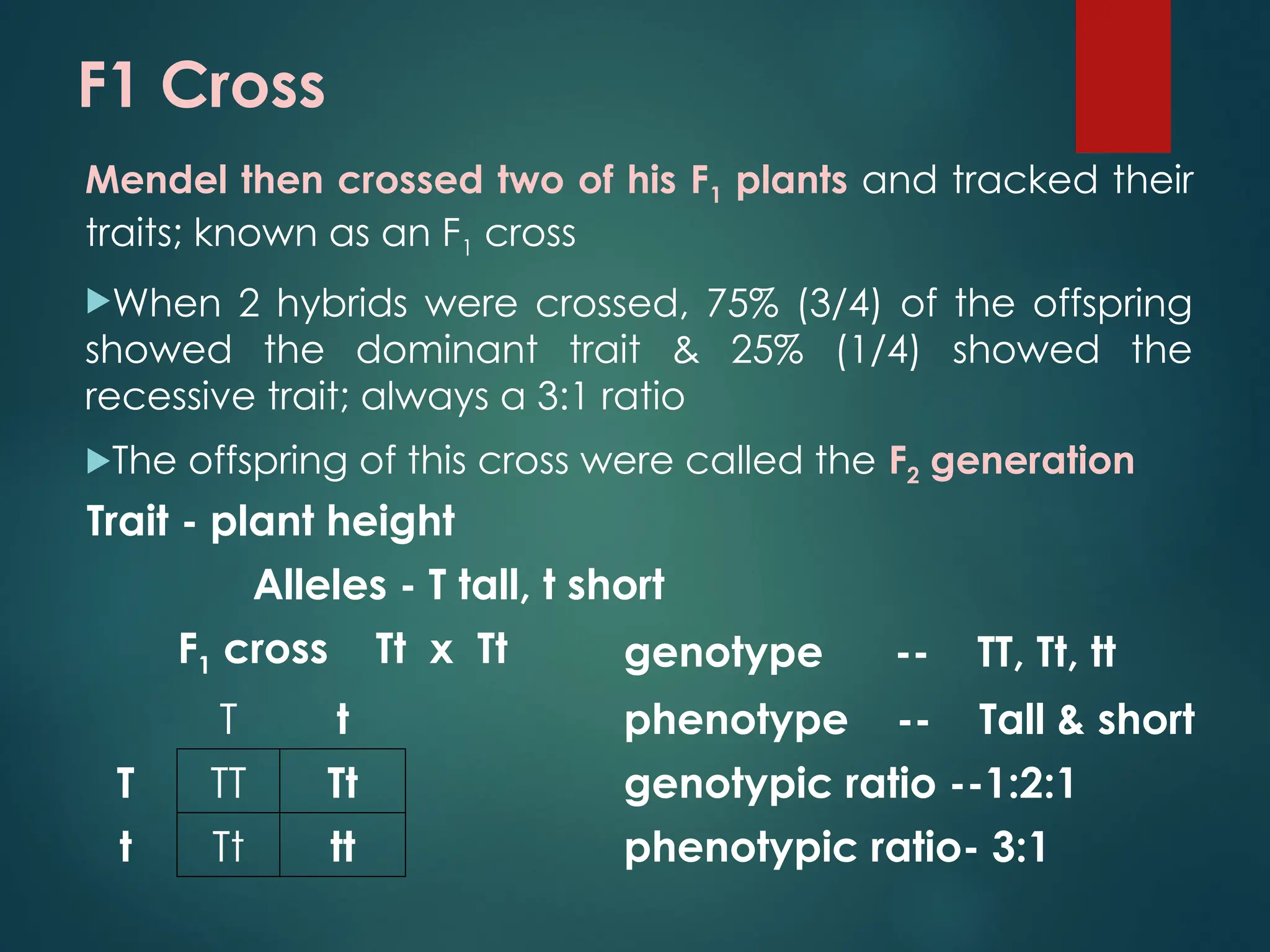 G8 Science Q4- Week 3-Patterns-of-Inheritance.ppt | Genetics | Science