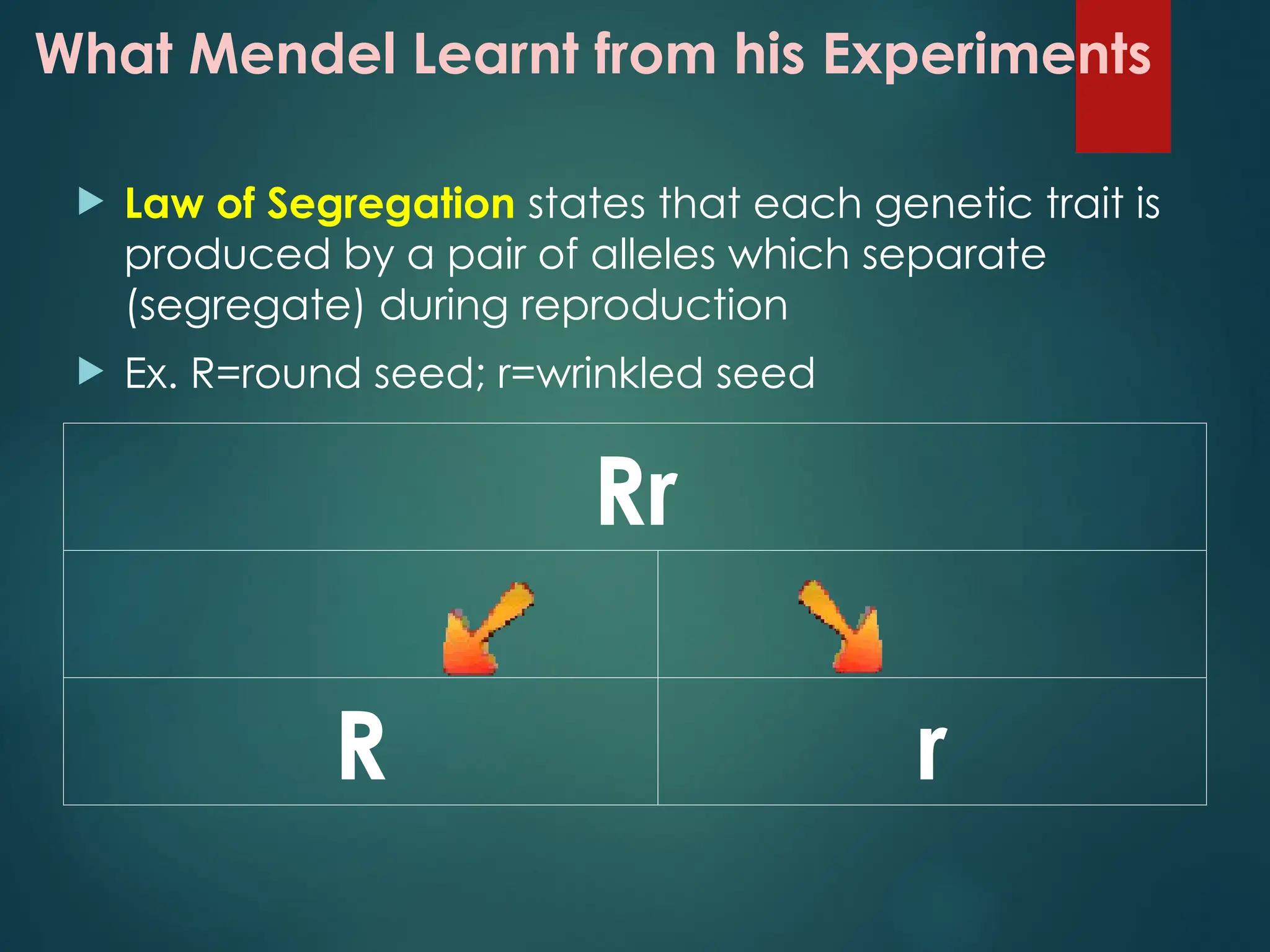 G8 Science Q4 Week 3 Patterns Of Inheritanceppt Genetics Science