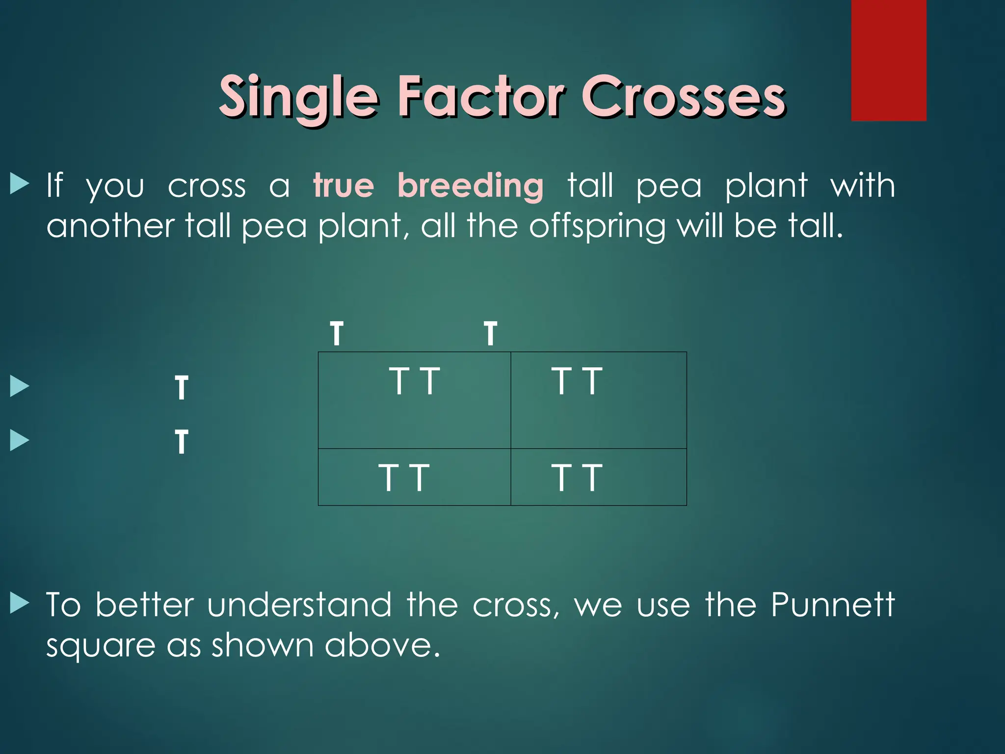 G8 Science Q4- Week 3-Patterns-of-Inheritance.ppt | Genetics | Science