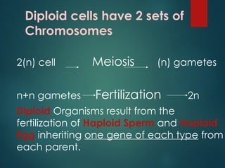 G8 Science Q4- Week 3-Patterns-of-Inheritance.ppt