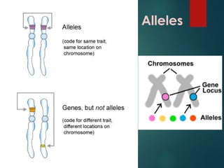 G8 Science Q4- Week 3-Patterns-of-Inheritance.ppt