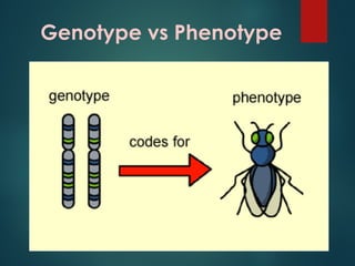 G8 Science Q4- Week 3-Patterns-of-Inheritance.ppt