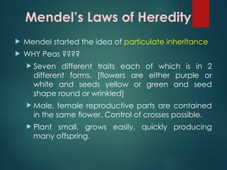 G8 Science Q4- Week 3-Patterns-of-Inheritance.ppt