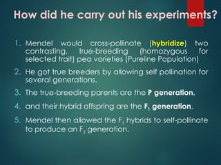 G8 Science Q4- Week 3-Patterns-of-Inheritance.ppt