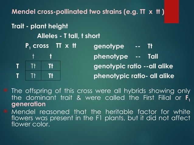 G8 Science Q4- Week 3-Patterns-of-Inheritance.ppt | Genetics | Science