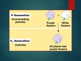 G8 Science Q4- Week 3-Patterns-of-Inheritance.ppt
