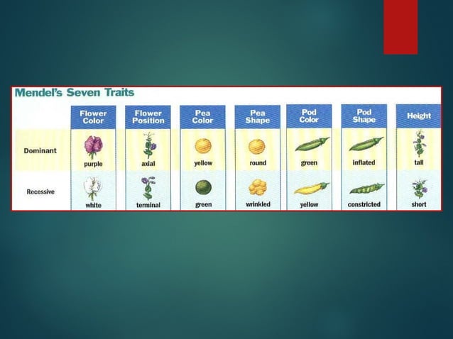G8 Science Q4- Week 3-Patterns-of-Inheritance.ppt | Genetics | Science