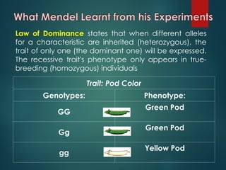 G8 Science Q4- Week 3-Patterns-of-Inheritance.ppt