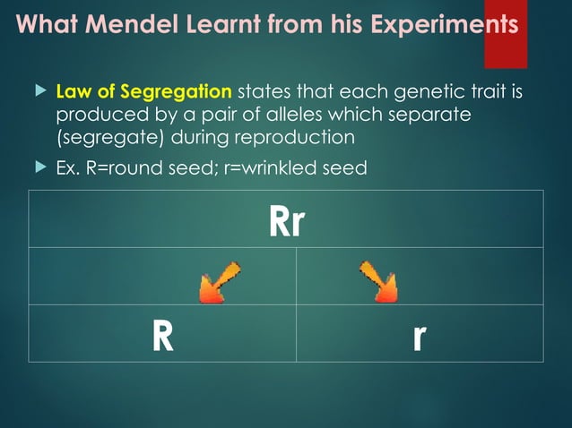 G8 Science Q4- Week 3-Patterns-of-Inheritance.ppt | Genetics | Science