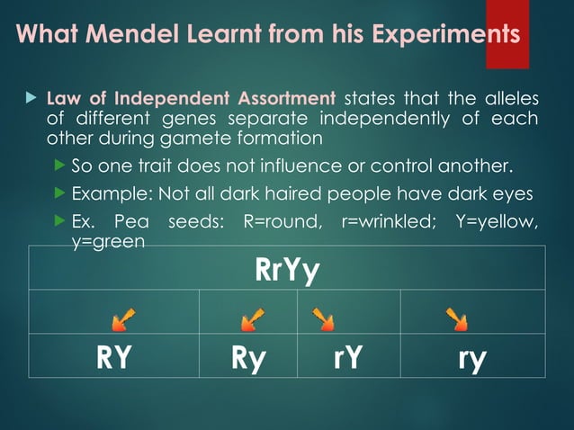 G8 Science Q4- Week 3-Patterns-of-Inheritance.ppt | Genetics | Science