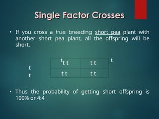 G8 Science Q4- Week 3-Patterns-of-Inheritance.ppt