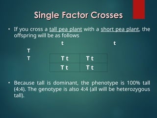 G8 Science Q4- Week 3-Patterns-of-Inheritance.ppt