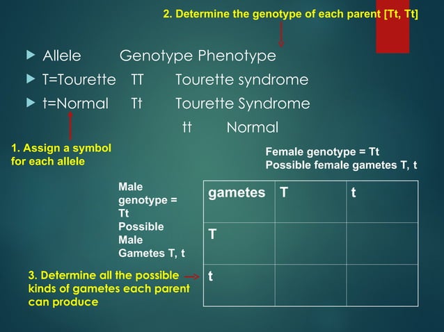 G8 Science Q4- Week 3-Patterns-of-Inheritance.ppt | Genetics | Science