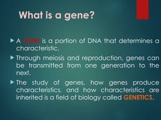 G8 Science Q4- Week 3-Patterns-of-Inheritance.ppt