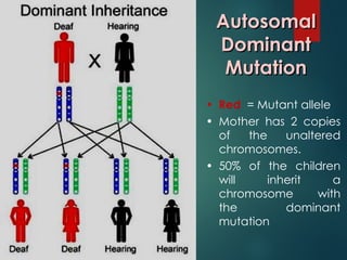 G8 Science Q4- Week 3-Patterns-of-Inheritance.ppt