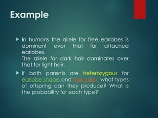 G8 Science Q4- Week 3-Patterns-of-Inheritance.ppt