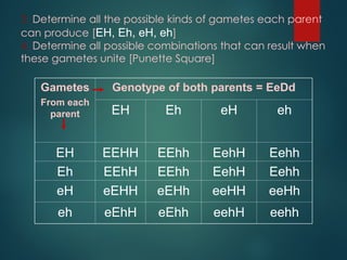 G8 Science Q4- Week 3-Patterns-of-Inheritance.ppt