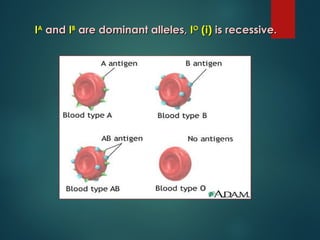 G8 Science Q4- Week 3-Patterns-of-Inheritance.ppt