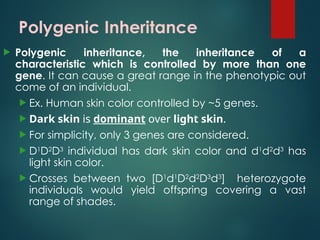 G8 Science Q4- Week 3-Patterns-of-Inheritance.ppt