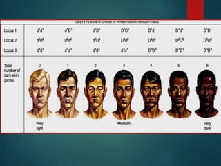 G8 Science Q4- Week 3-Patterns-of-Inheritance.ppt