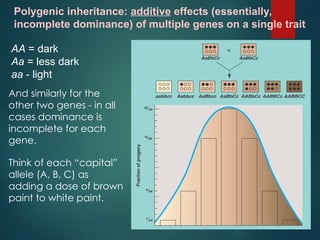 G8 Science Q4- Week 3-Patterns-of-Inheritance.ppt