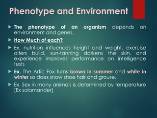 G8 Science Q4- Week 3-Patterns-of-Inheritance.ppt
