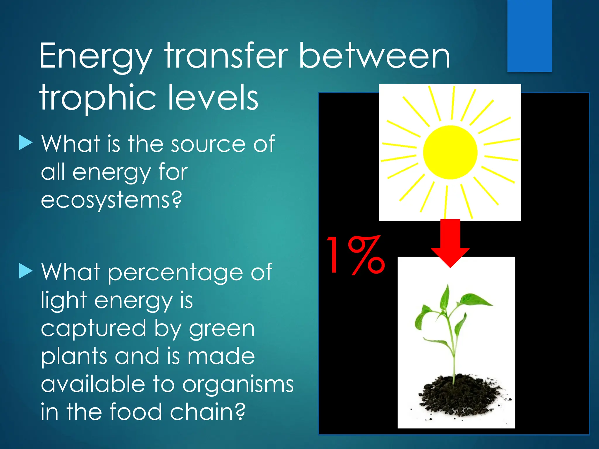 G8 Science Q4- Week 5-Energy-transfer-between-trophic-levels.pptx