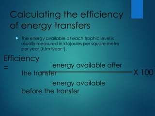 G8 Science Q4- Week 5-Energy-transfer-between-trophic-levels.pptx