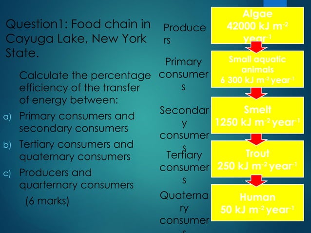G8 Science Q4- Week 5-Energy-transfer-between-trophic-levels.pptx