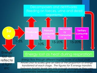 G8 Science Q4- Week 5-Energy-transfer-between-trophic-levels.pptx