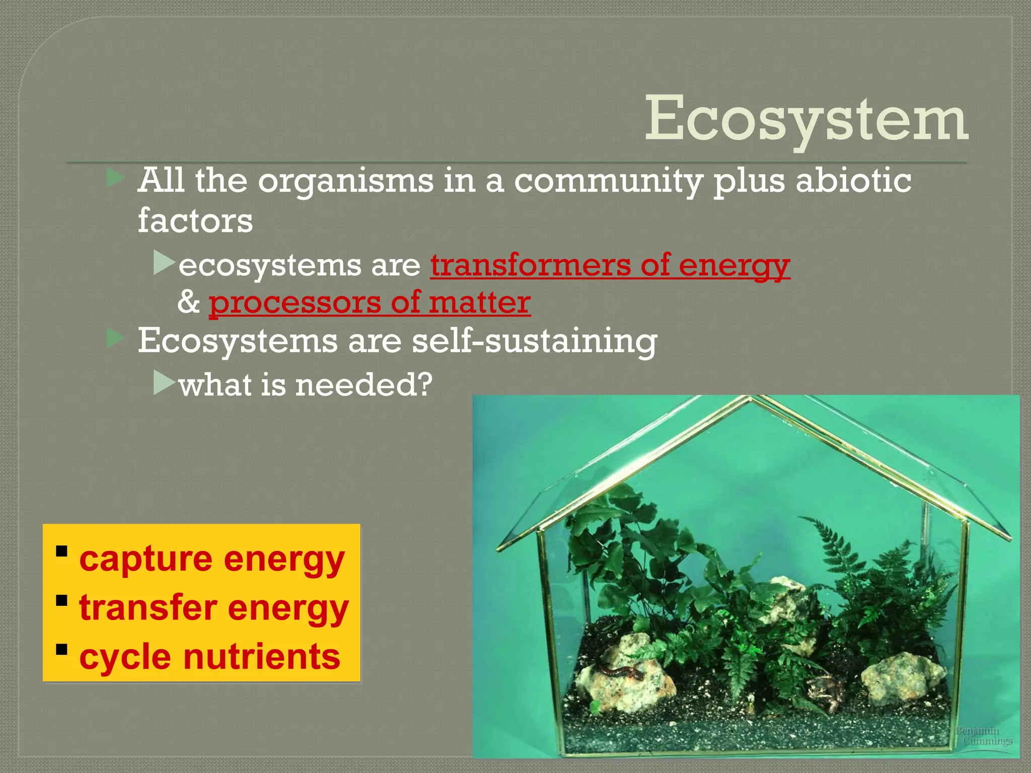 G8 Science Q4- Week 6-Materials Cycle in Ecosystem.pptx