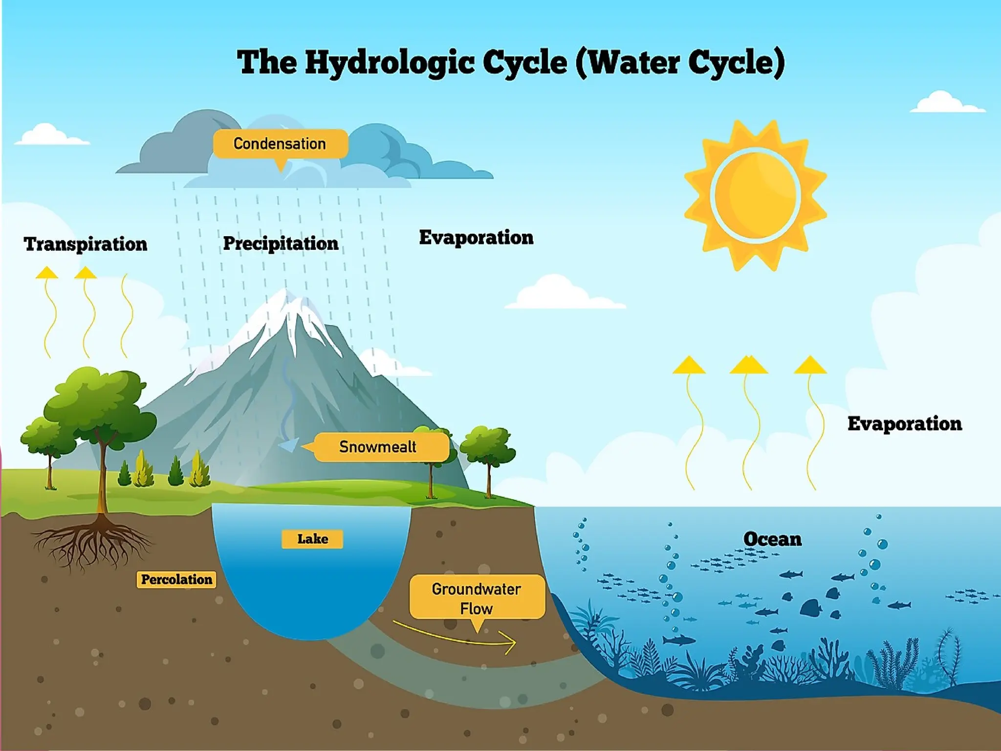 G8 Science Q4- Week 6-Materials Cycle in Ecosystem.pptx