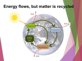 G8 Science Q4- Week 6-Materials Cycle in Ecosystem.pptx
