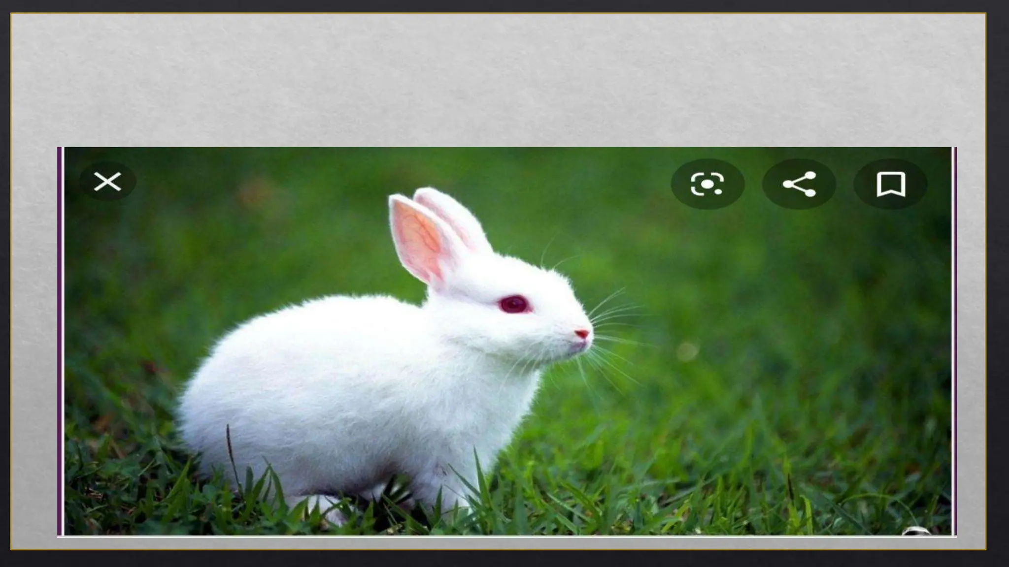 ANG HATOL NG KUNEHO-ANG HATOL NG KUNEHOpptx | PPTX