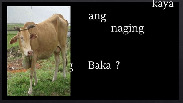 ANG HATOL NG KUNEHO-ANG HATOL NG KUNEHOpptx | PPTX