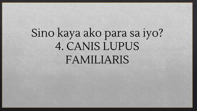 ANG HATOL NG KUNEHO-ANG HATOL NG KUNEHOpptx | PPTX